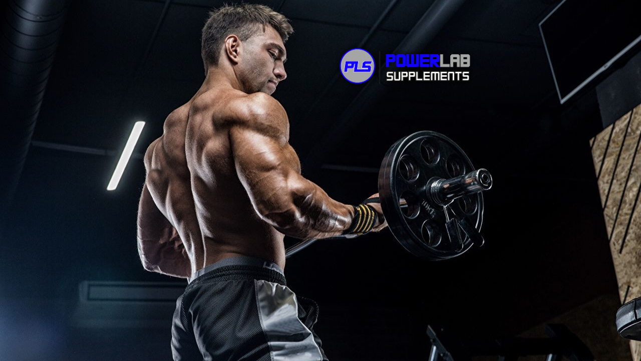 Power Lab Supplements